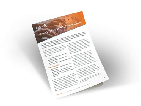 It Security Guide Download Calyx It