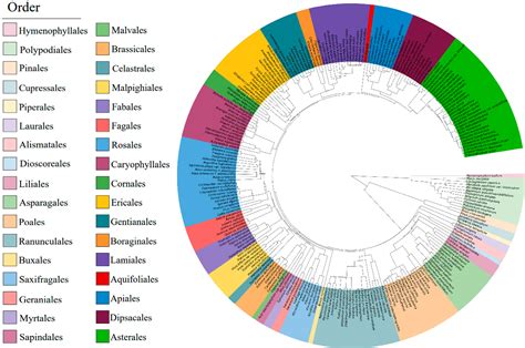 Figure 2 From Leaf Functional Traits And Their Influencing Factors In Six Typical Vegetation