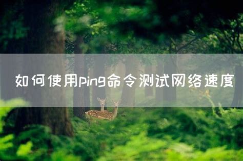 如何使用ping命令测试网络速度234生活常识