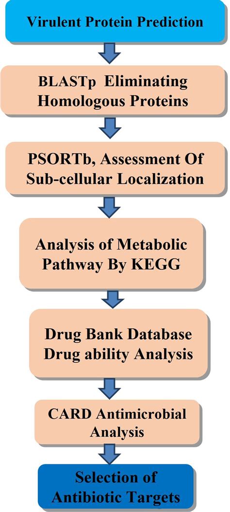 Graphical Presentations Of The Subtractive Proteomics Approaches For