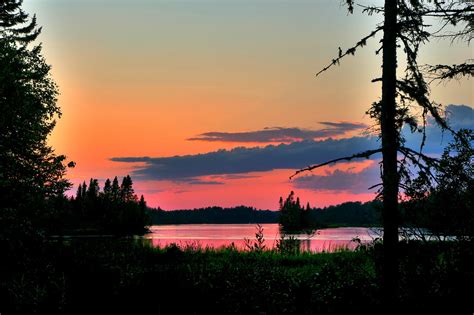 나무 구름 일몰 Pixabay의 무료 사진 Pixabay