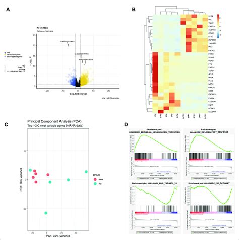 Description Of Mrna Seq Analysis Results Of 5 Recurrent Vs 5 Primary Download Scientific