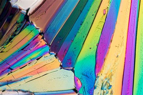 Premium Photo Microscopic Zygnema Algae Detail