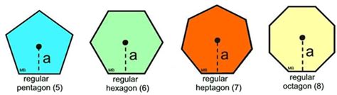 What Is A Regular Polygon