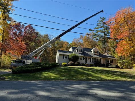 Mastering Tree Cutting With Cranes A Step By Step Guide Article