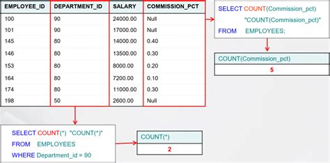 count hàm đếm số dòng sql and database
