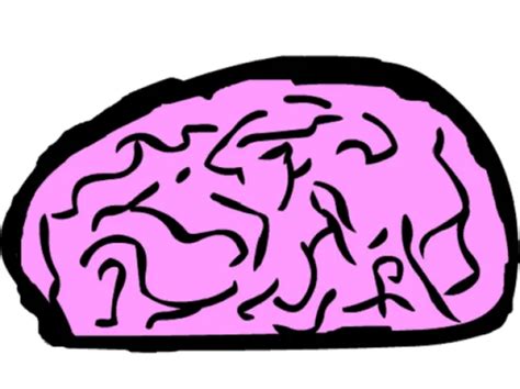 Mini Genio Quiz 5 Gemwtron Yschw Quizur