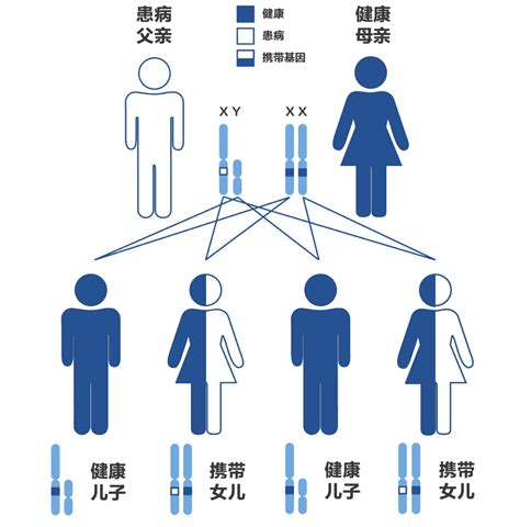 上海交通大学医学院附属瑞金医院