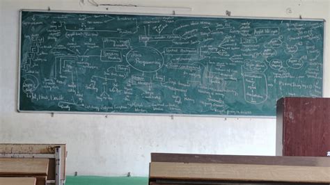 Mastering Complexity How Mind Mapping Supercharged My Exam Prep