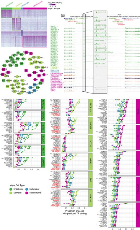 Cell Cluster Specific Genes A Expression Of 2871 Genes Specific To Download Scientific