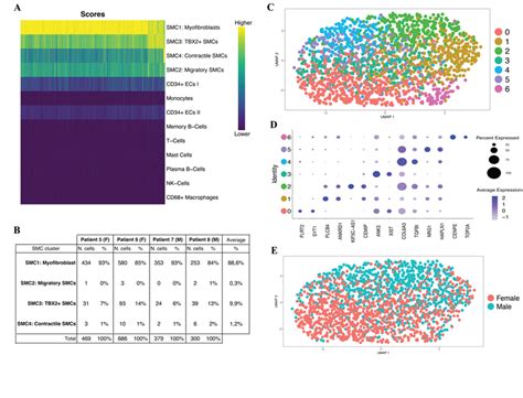 Different Subsets Of Plaque Cells A Heatmap Showing That Plaque