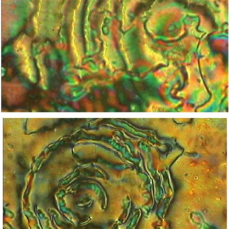 Details Of The Centre Of Spherulitic Textures Download Scientific