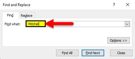 Find And Replace In Excel How To Use 7 Easy Examples