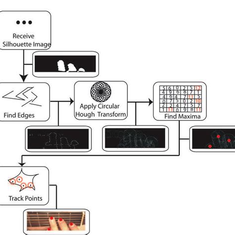 Fingertip Detection Using The Circular Hough Transform Algorithm Download Scientific Diagram