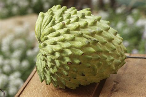 Шишки фрукт фото и картинки 63 штук