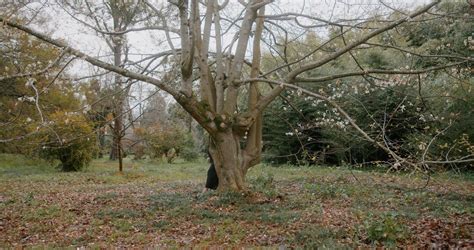 Japanese Beautiful Girl Videos Download The Best Free 4k Stock Video