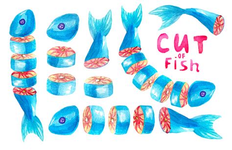 슬라이스 한 붉은 물고기 조각의 컬렉션 집합입니다 개별 조각 스테이크 다음에 누워 조각 수평으로 반원 꼬리와 물고기의 머리 수채화 흰색 배경에 고립 된 개체 그룹에 대한