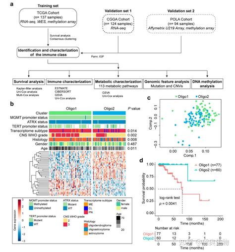 利用多组学数据进行亚型鉴定如何突破发11分 Sci 知乎
