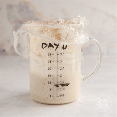 How To Make Sourdough Starter For Beginners Sugar Geek Show