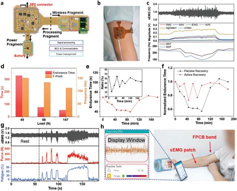 A Flexible Wireless Semg System For Wearable Muscle Strength And Fatigue Monitoring In Real Time