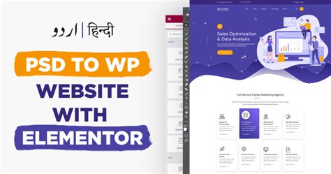 Wordpress Designer Roadmap How To Become A No Code Web Designer Wp
