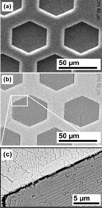 A Top View Sem Micrograph Of A Patterned Substrate Prior To Phc