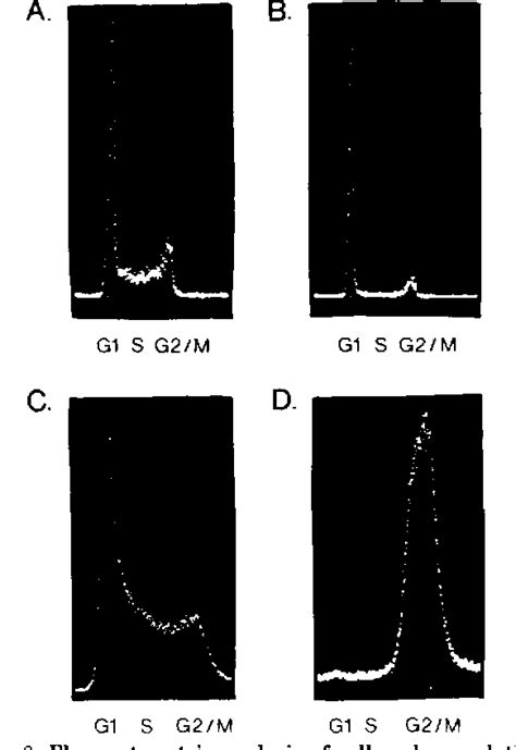 Deoxyribonucleoside Triphosphate Metabolic Process Semantic Scholar