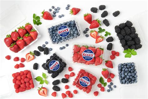 California Giant Berry Farms Promotes Full Berry Lineup For 2024 Southern Exposure Alan Ediger