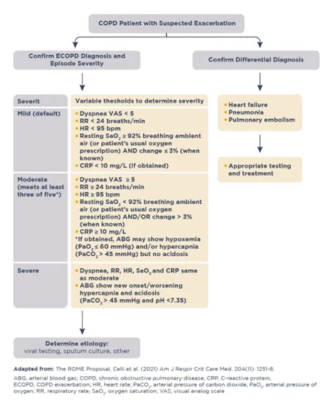 Understanding And Managing Copd Exacerbations Sanofi Campus