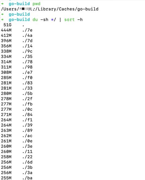 清理gorust编译时产生的缓存 Geek Segmentfault 思否