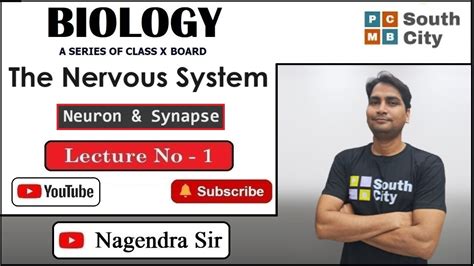 Class 10 The Nervous System Neuron And Synapse L 1 Youtube