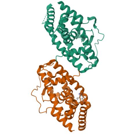 Rcsb Pdb 9m2e Crystal Structure Of Nur77 Lbd In Complex With Dbic