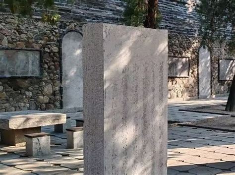 曲园学子三下乡：探寻岱庙古迹，传承文化遗产 多彩大学生网