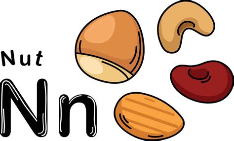 Illustration Isolated Alphabet Letter N Nut 54266746 Vector Art At Vecteezy