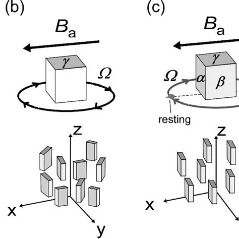 Schematics Of The Three Different Magnetic Alignment Techniques A