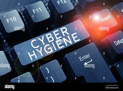 Conceptual Caption Cyber Hygiene Business Overview Steps That Computer Users Take To Improve