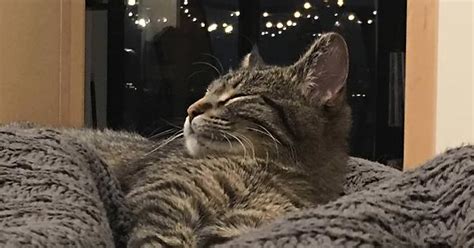 When You Replaying The Argument You Had That Day But With Better Comebacks Album On Imgur