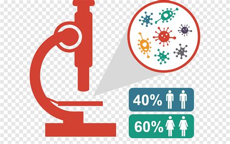 건강 관리 의학 템플릿 차트 의료 돋보기 템플릿 유리 Png Pngegg