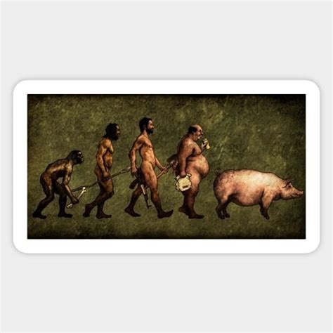 Men Evolution Evolution Sticker Teepublic