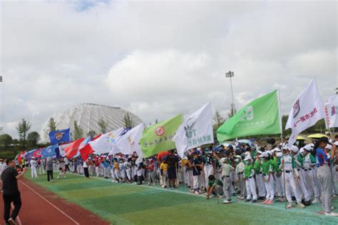 奔跑吧少年热血夏日活力绽放合肥市华山路小学软式棒垒球队在国赛摘夺双冠 安青网