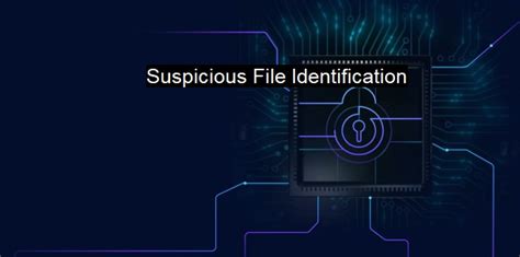 What Is Suspicious File Identification