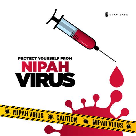 100 Nipah Virus Ilustrasi Grafik Vektor And Clip Art Bebas Royalti Terbaik Istock