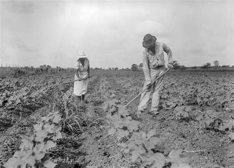 Sharecropping And Tenant Farming In Alabama Encyclopedia Of Alabama