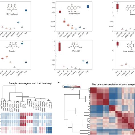 Analysis Of Anthraquinone Contents And Transcriptome Clustering Of Download Scientific Diagram