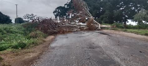 ပြင်ဦးလွင် နောင်ချို ကျောက်မဲ လားရှိုး ပြည်ထောင်စုလမ်းမကြီးပေါ်၌ Tnla