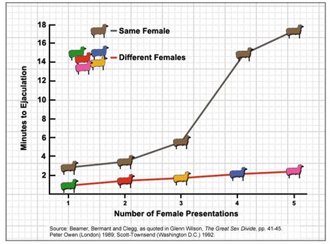 Transcript Of The Great Porn Experiment Tedx Glasgow Your Brain On Porn