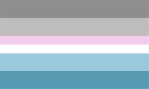 Being Both Cis And Trans Gender Flags Sign Off Lgbtq Term Identity Archive Pride