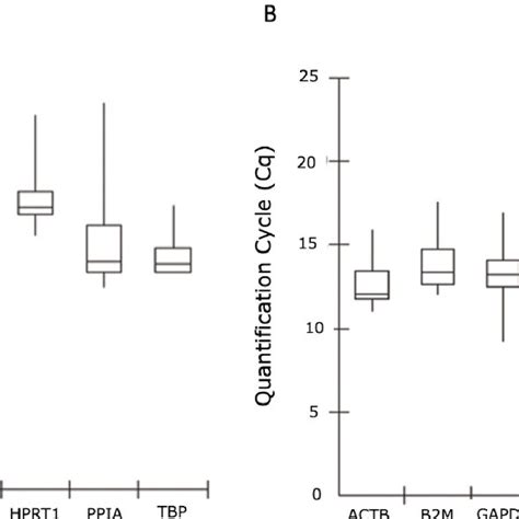 Quantification Cycle Cq Values Of Candidate Rgs Across The