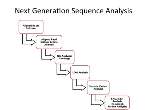 Gene Arrays Dna Sequencing Analysis