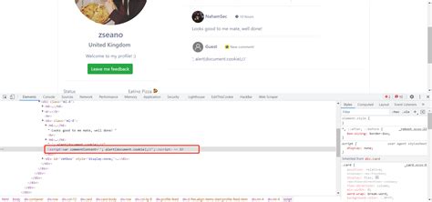 Hacker101 Ctf：xss Palyground By Zseanoxss Playground By Zseano Csdn博客